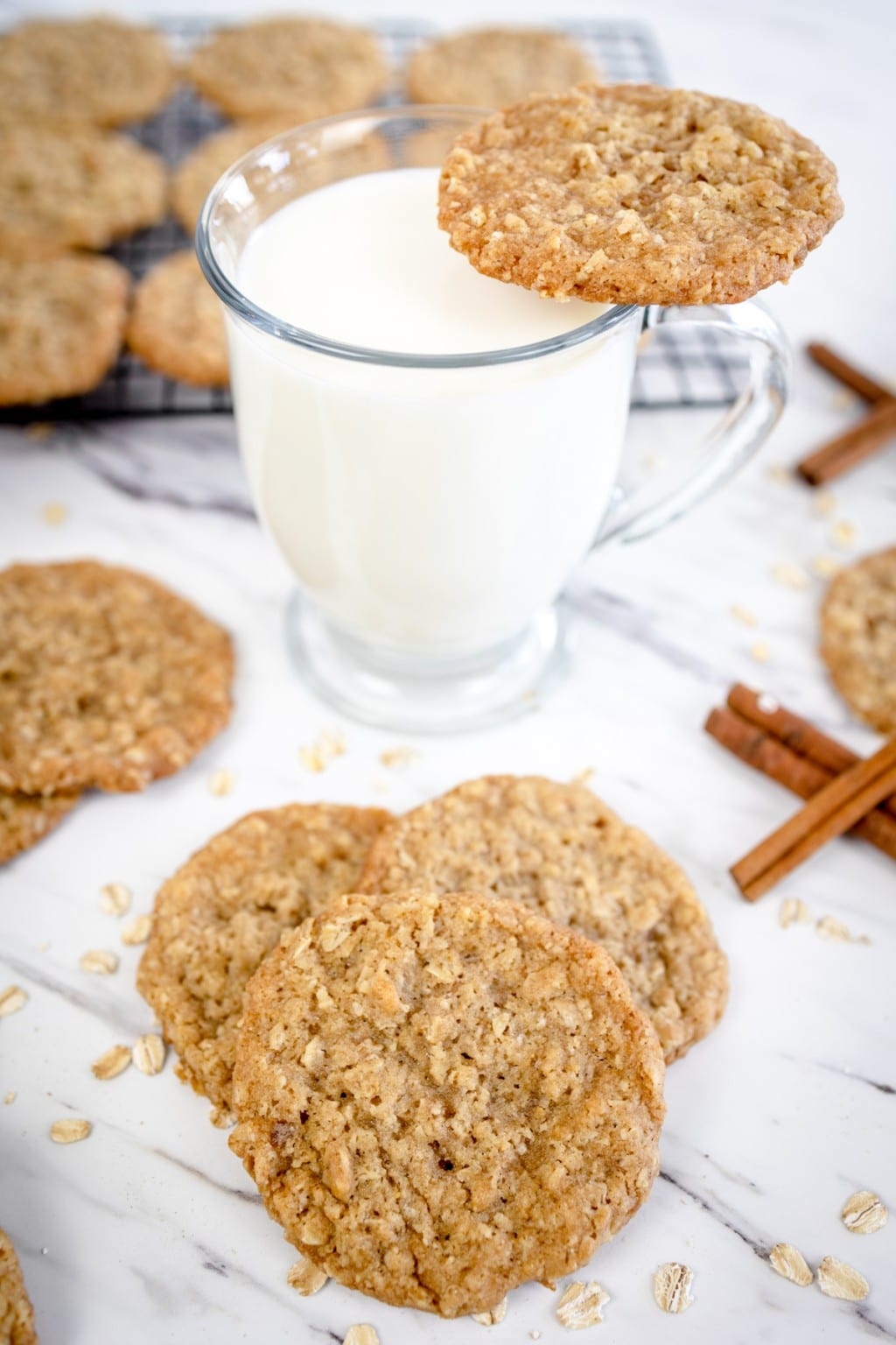 Famous Quaker Oatmeal Cookie Recipe Best Cookie Recipes