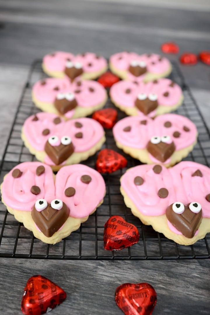 Love Bug Sugar Cookies | Best Cookie Recipes